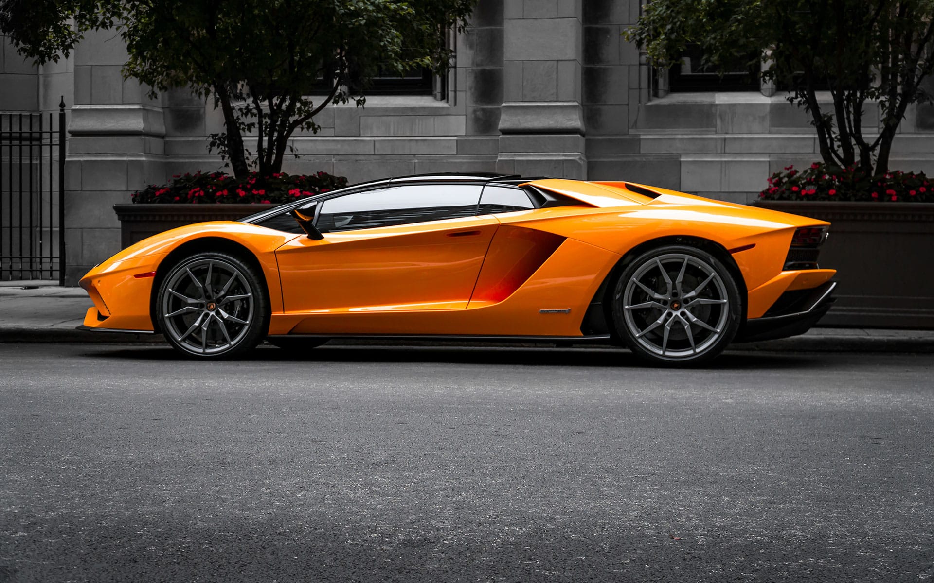 About Wraptors - Wraptors Orlando