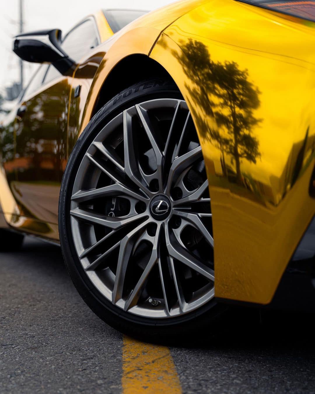 Wheel Painting - Wraptors Orlando